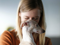 About PCS | Pet Cremation Services